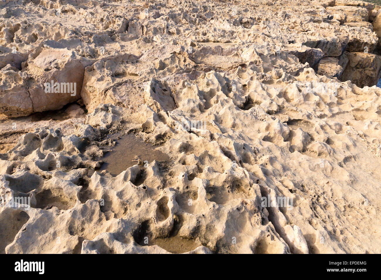 Nature of Cyprus Stock Photo - Alamy