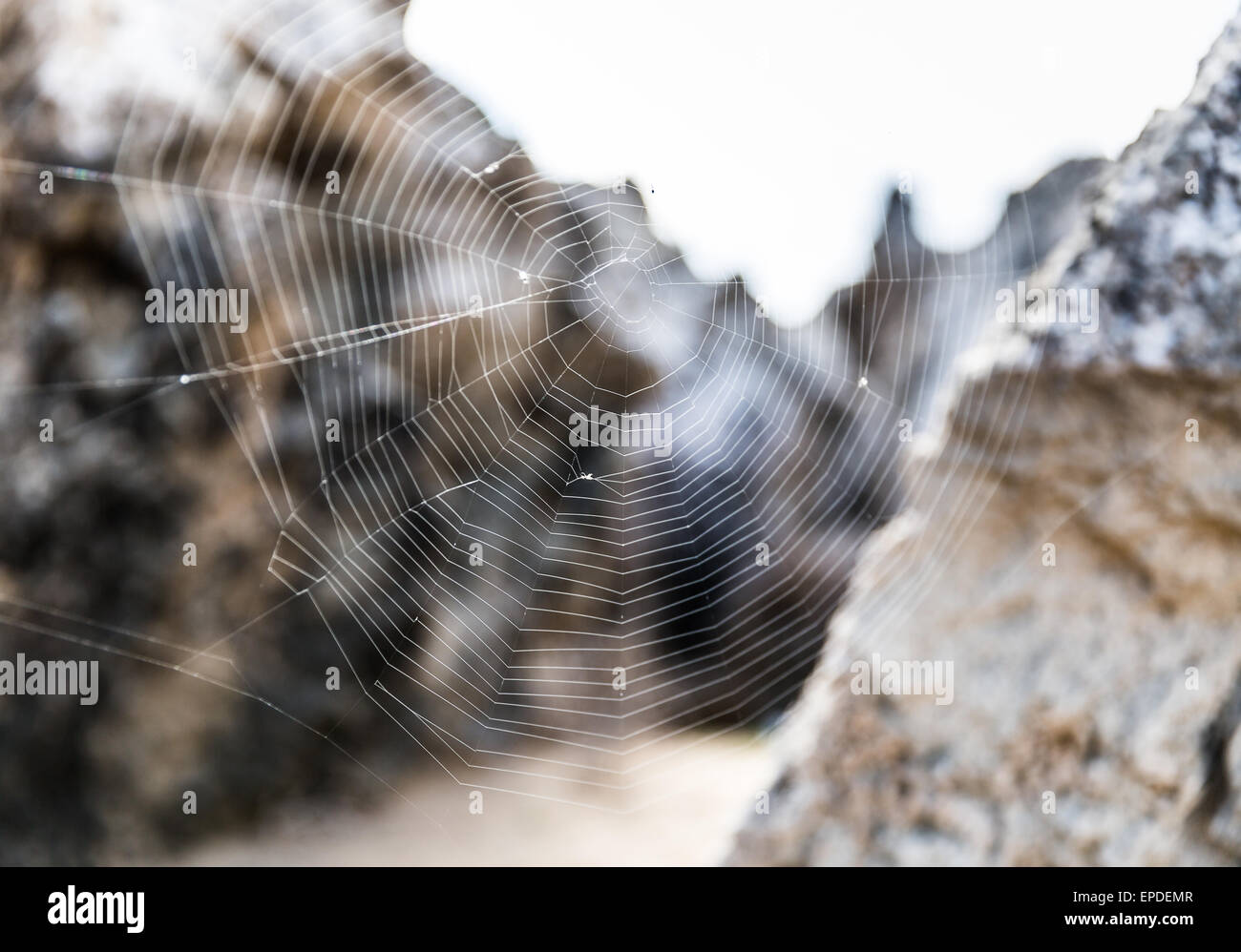 Spiders Web among the rocks Stock Photo - Alamy