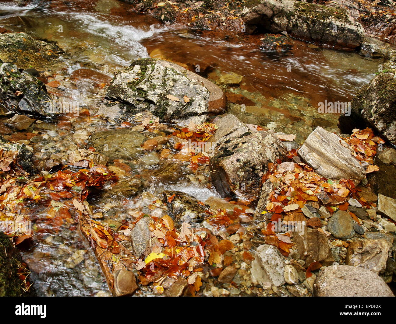Forrest forrest forrest forrest river hi-res stock photography and ...