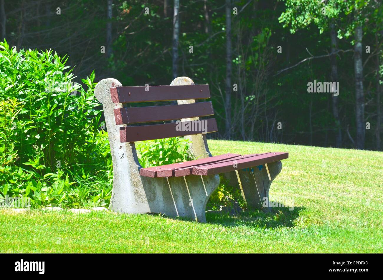 Bench on lawn hi-res stock photography and images - Alamy