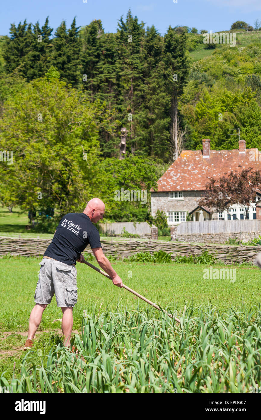 Hoe farming hi-res stock photography and images - Alamy