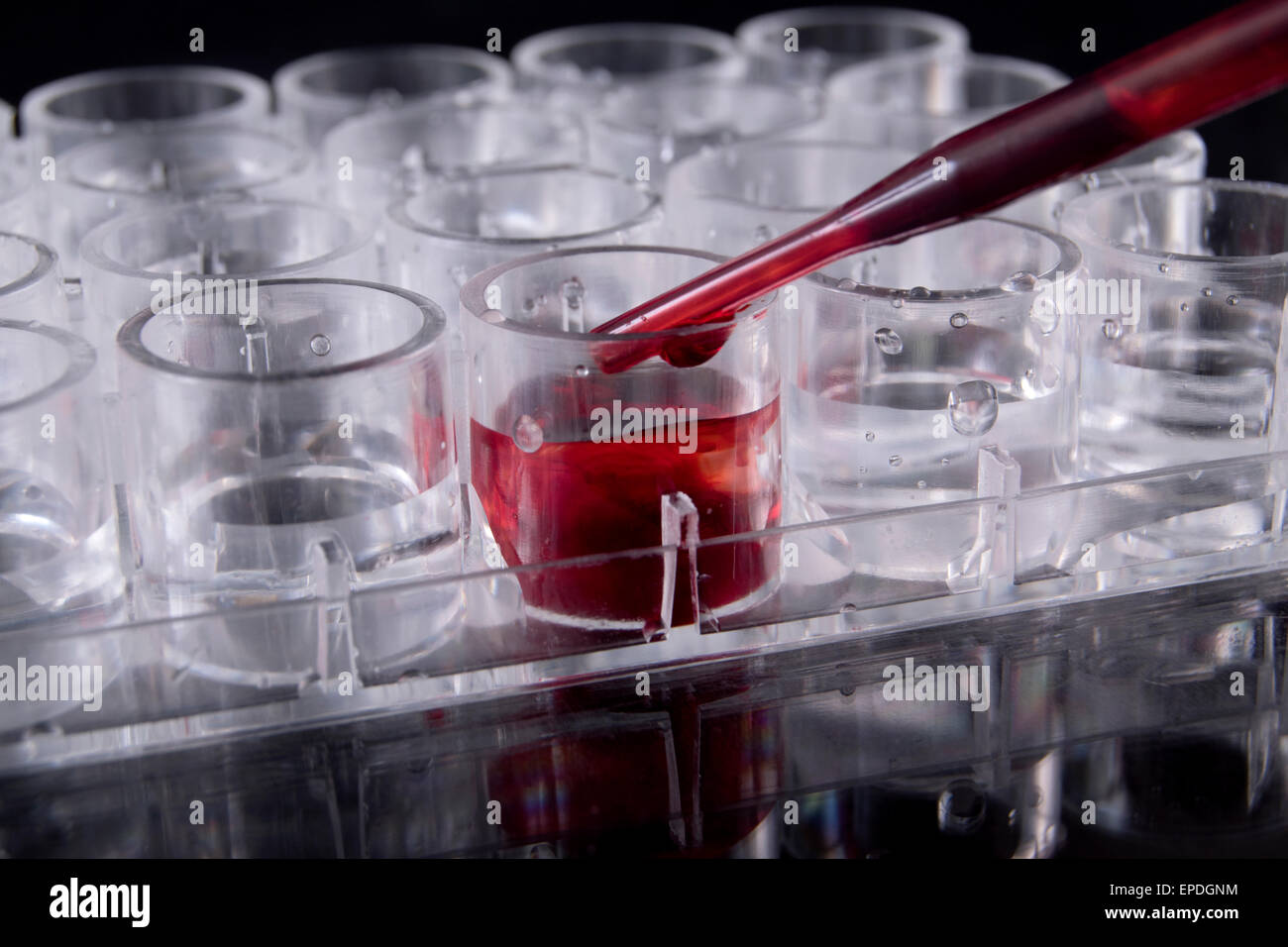 Teaching experiment hi-res stock photography and images - Alamy