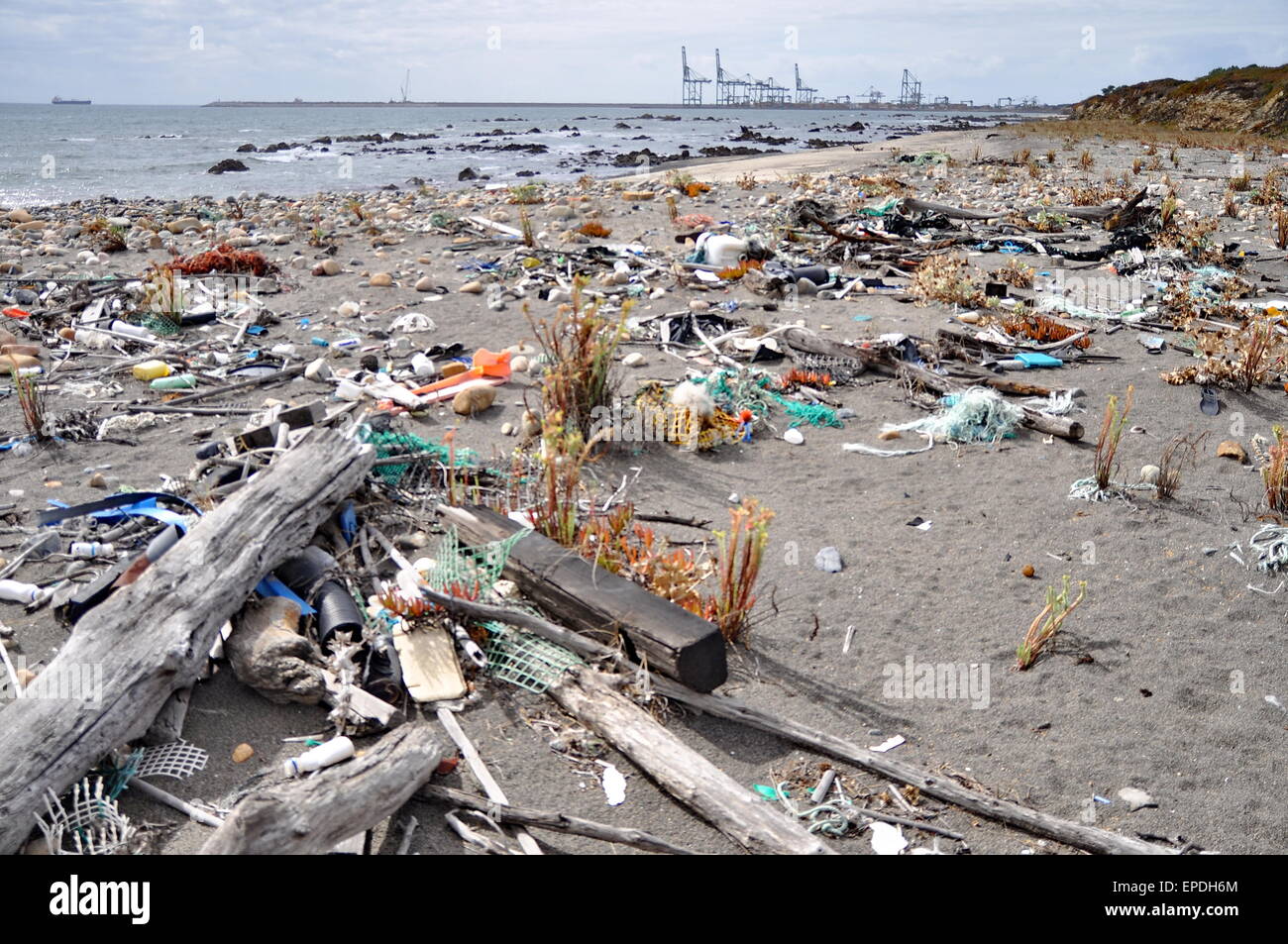 Trash on the seashore with cranes at the beackground Stock Photo - Alamy