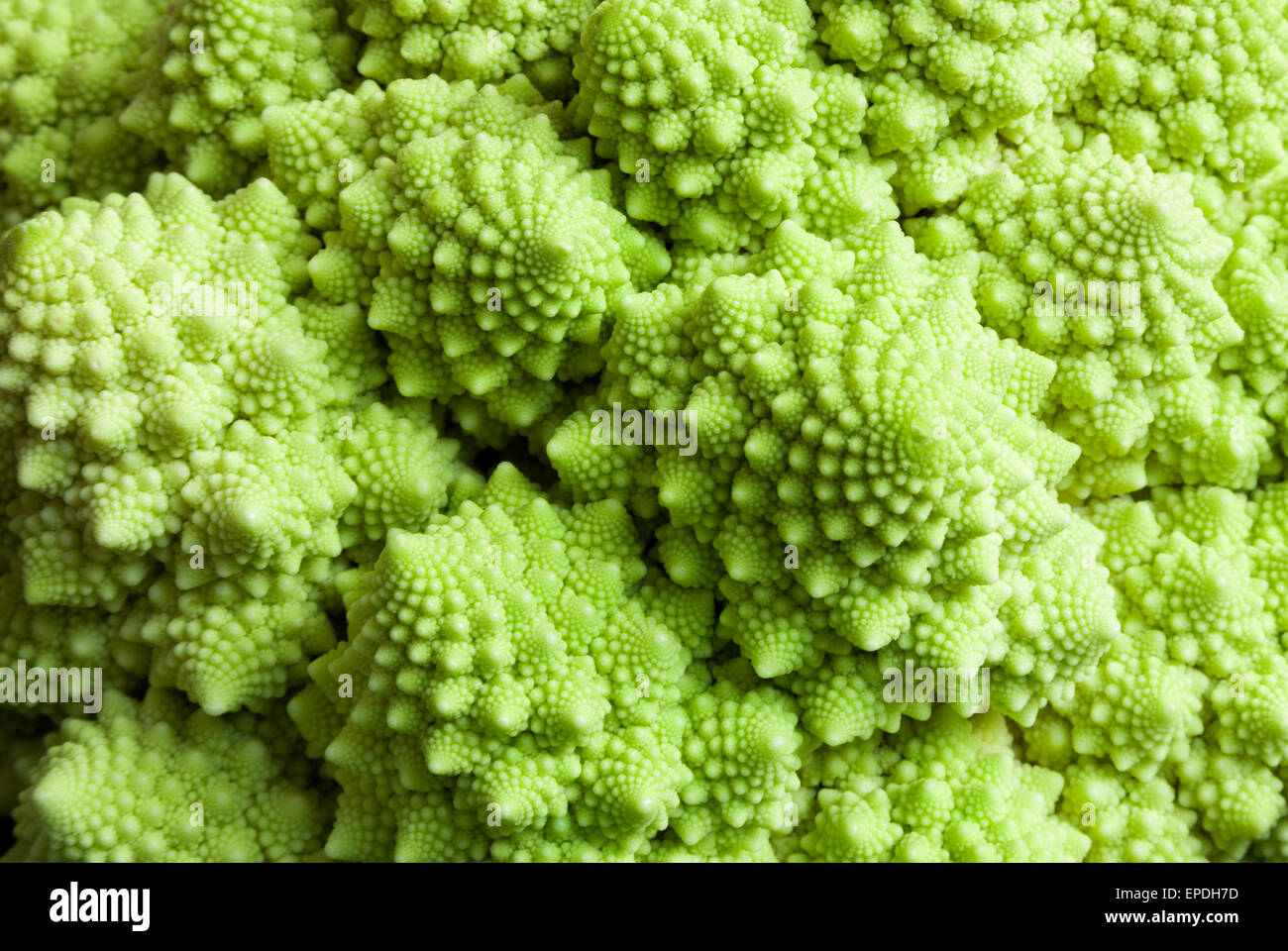 Romanescu vegetable hi-res stock photography and images - Alamy