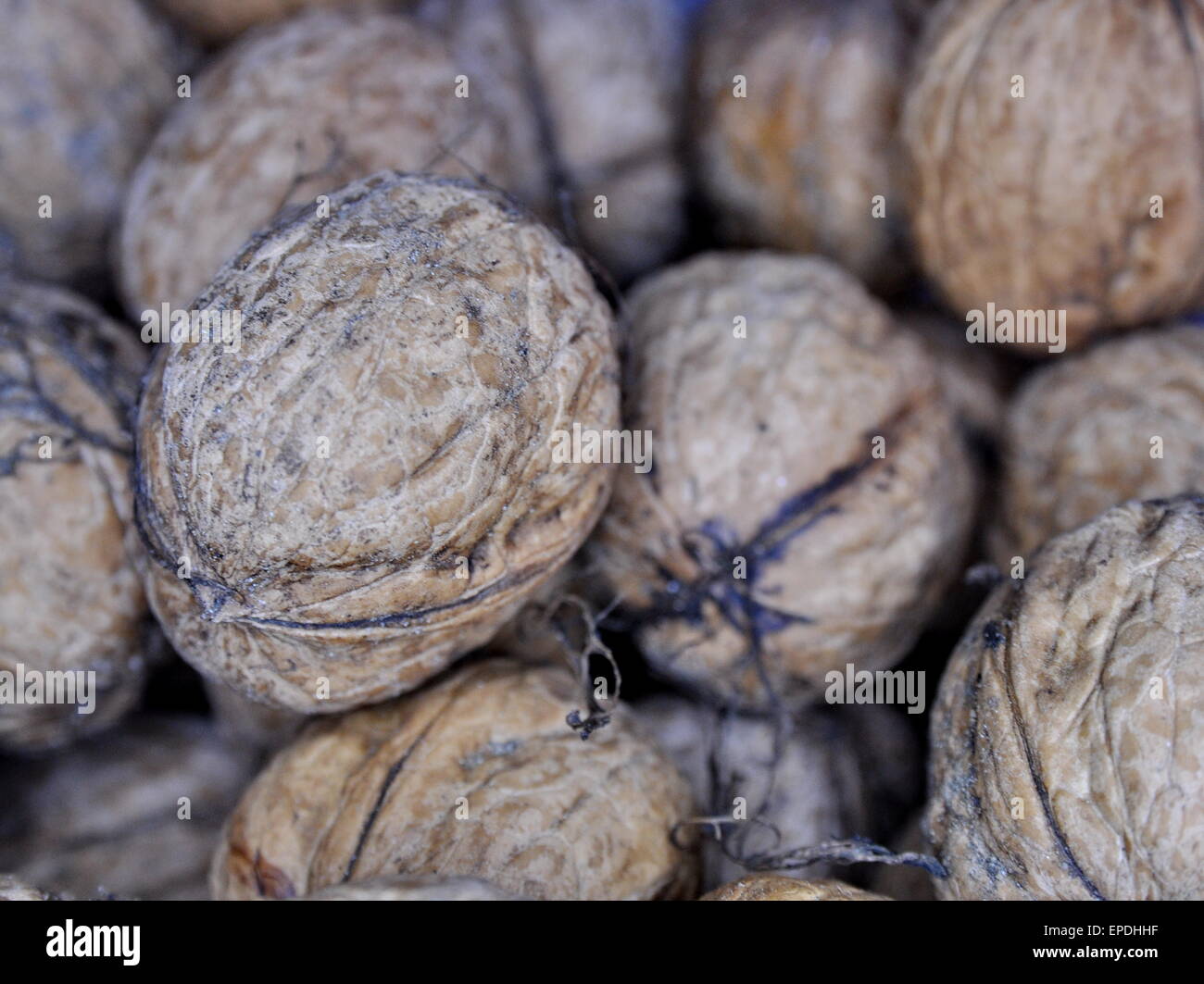 Wallnut tree hi-res stock photography and images - Alamy