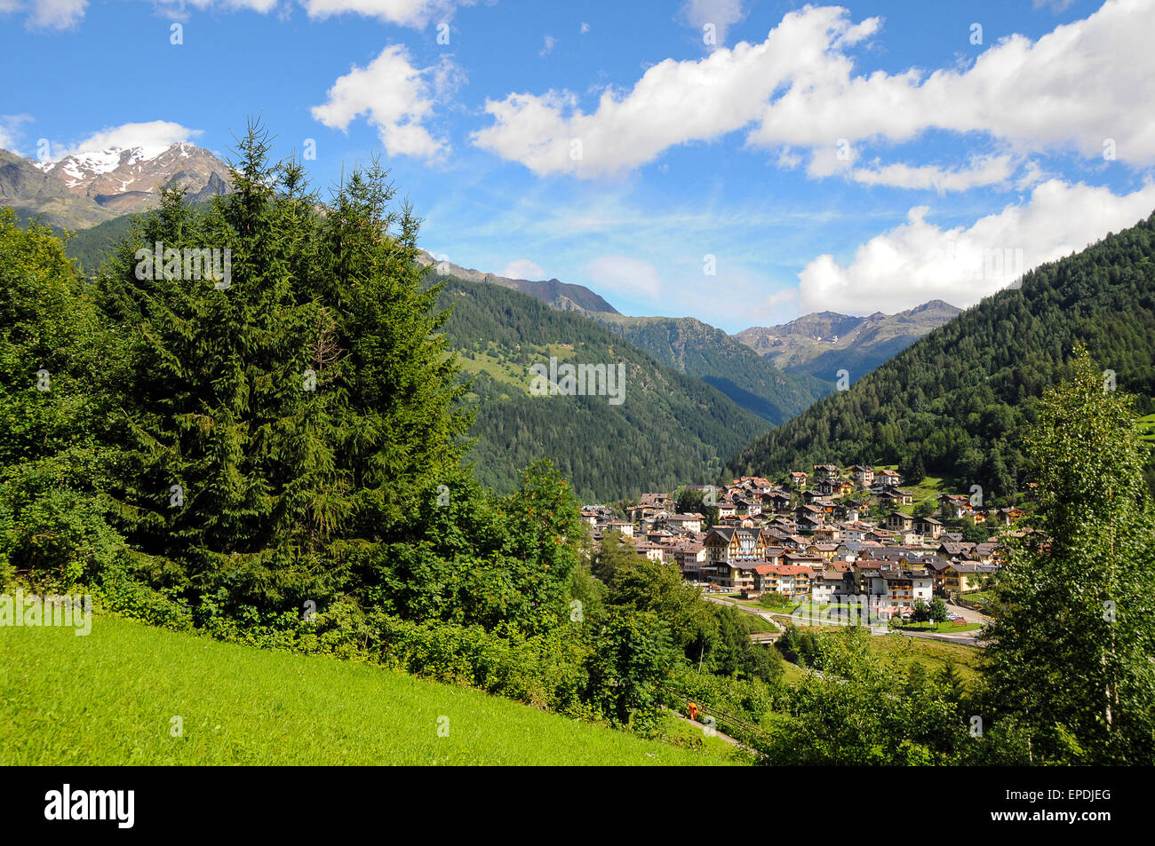 Italy Trentino Stelvio national Park Cogolo in Val Pejo Stock Photo - Alamy