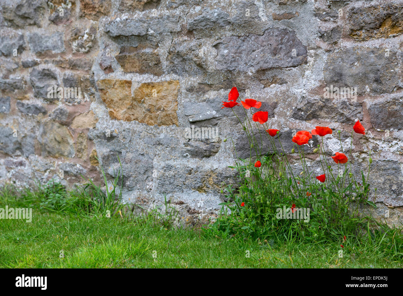 The red castle england hi-res stock photography and images - Alamy