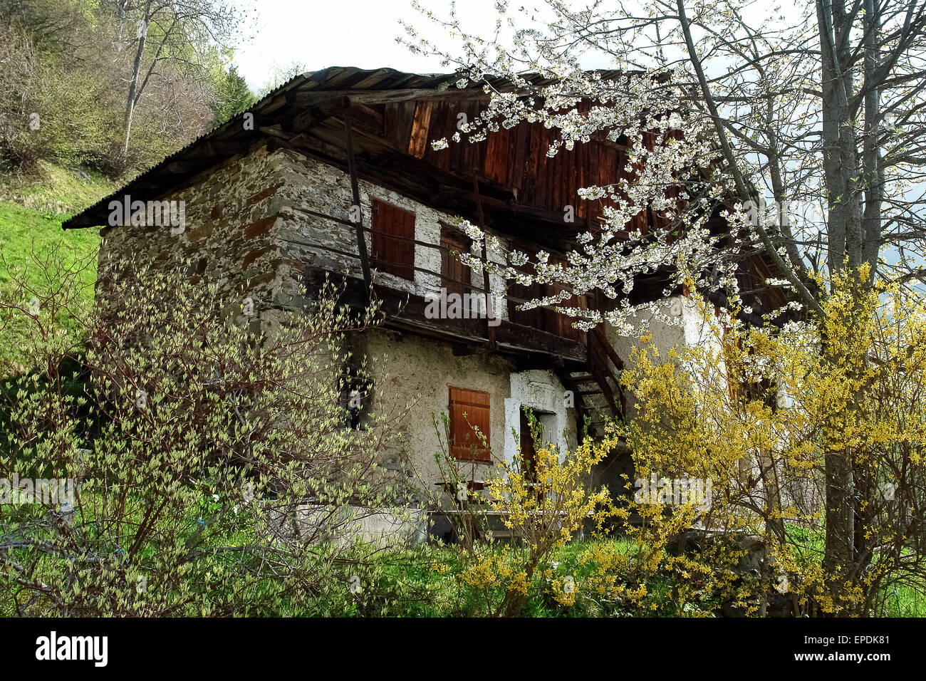 Vadi rabbi hi-res stock photography and images - Alamy