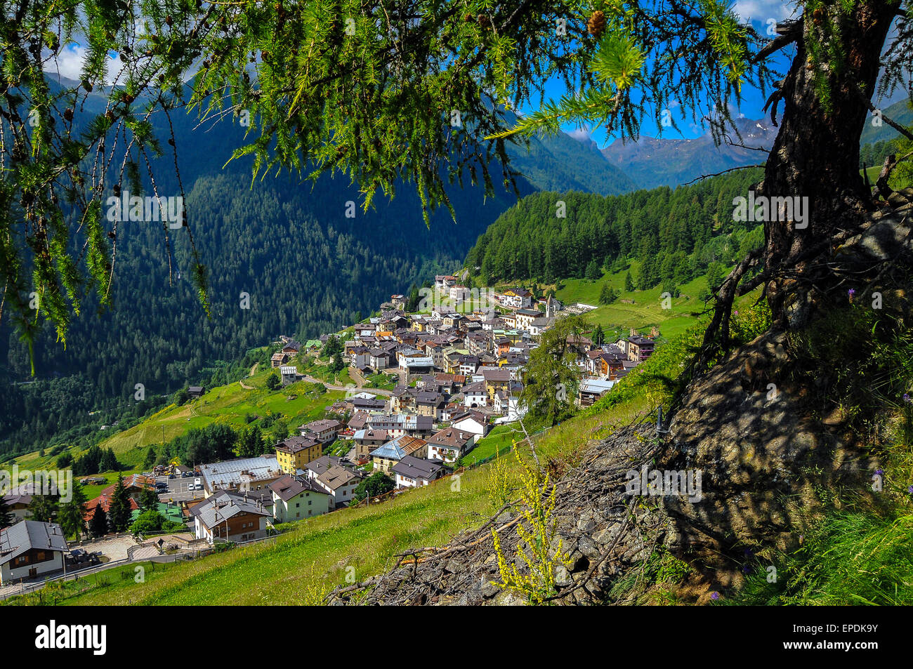 Pejo hi-res stock photography and images - Alamy