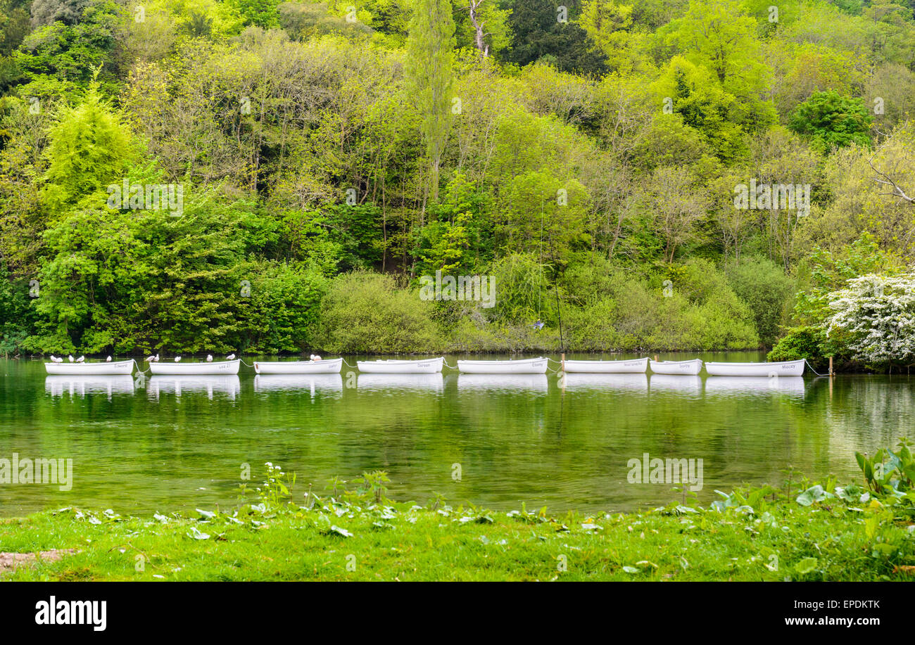 Boating lake hi-res stock photography and images - Alamy
