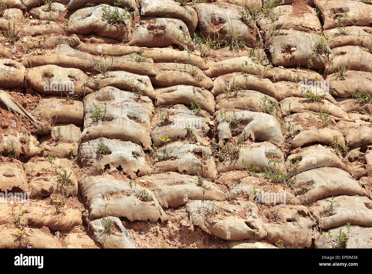 Kampala, Uganda. 17th May, 2015. Sand bags pictured at a reclaimed ...