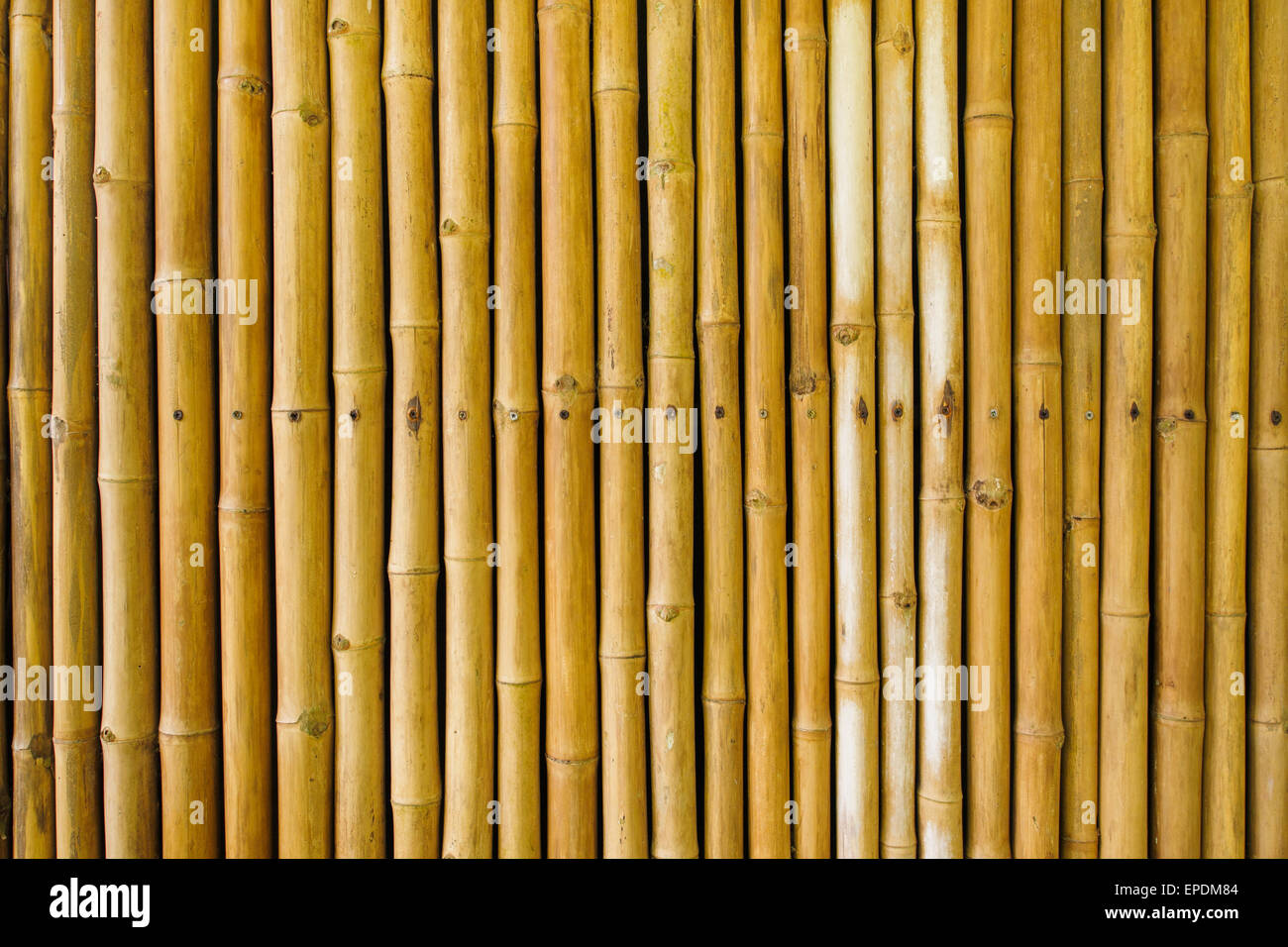bamboo fence background Stock Photo - Alamy