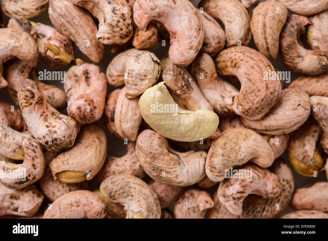 Cashew Shell High Resolution Stock Photography and Images - Alamy