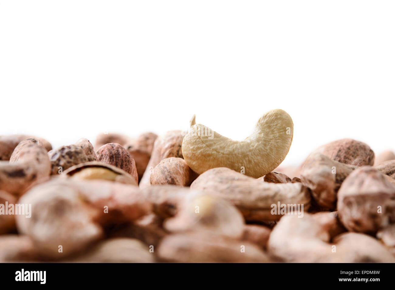 Cashew nut shell hi-res stock photography and images - Alamy