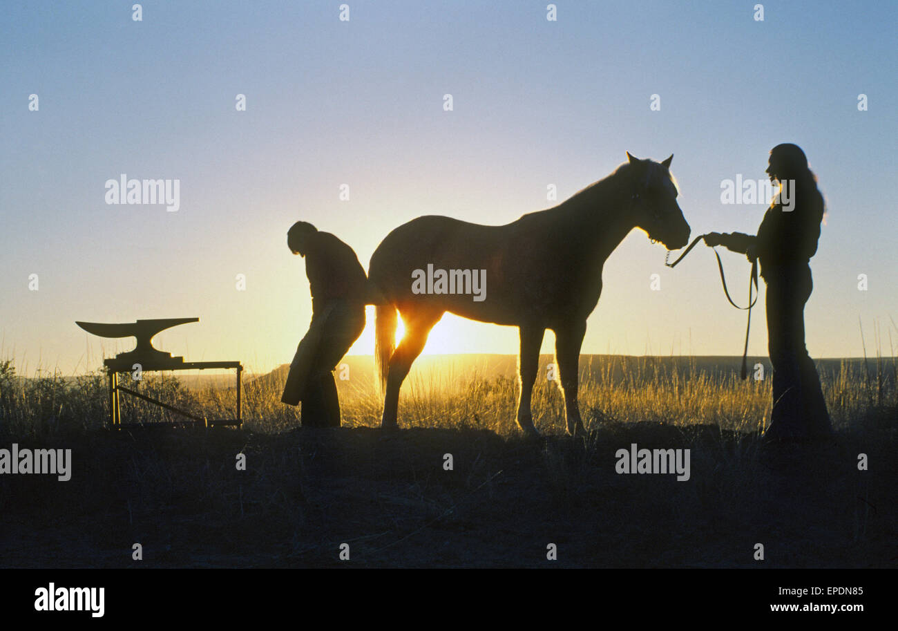 Cowboy horseshoeing a horse hi-res stock photography and images - Alamy