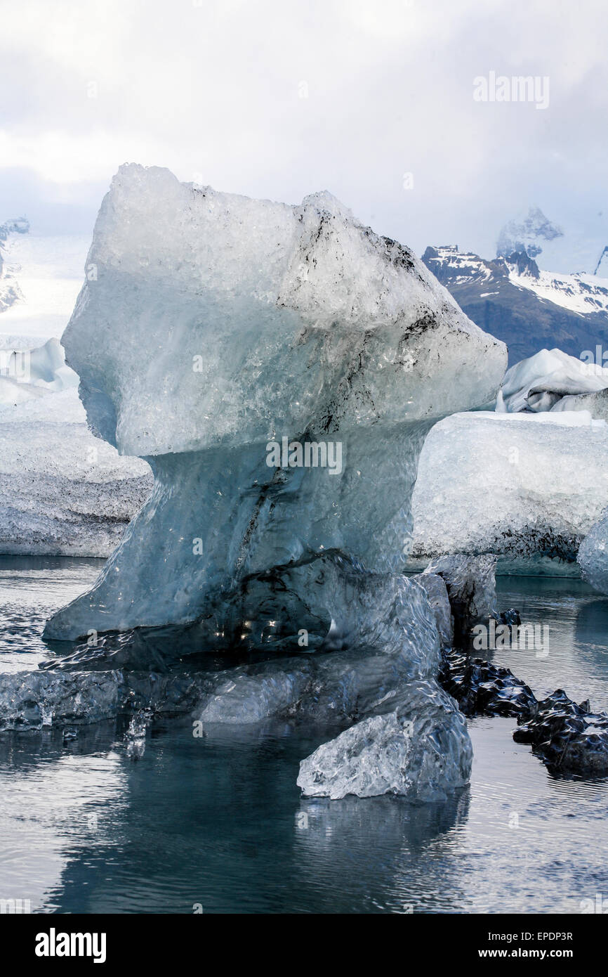 Ice floes that have broken away from the Icefields floating in the ...