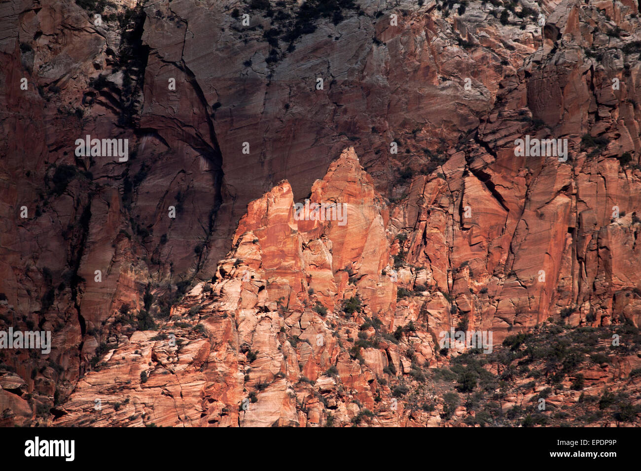 Stunning rock formations in Zion National Park Stock Photo - Alamy