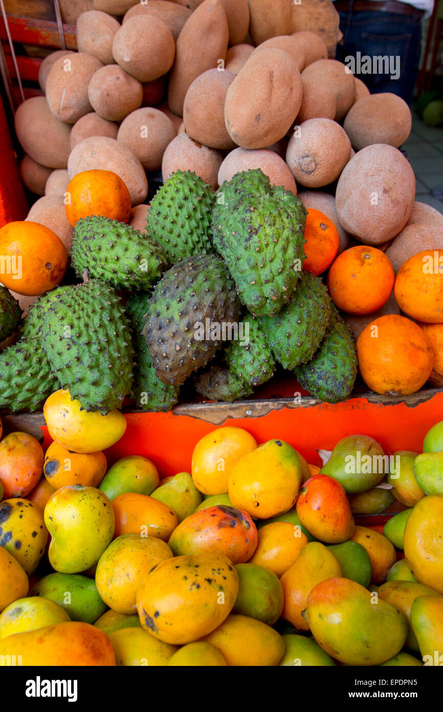 Fruit and vegetable market, Vallarta Food Tours, El Pitillal, Puerto ...