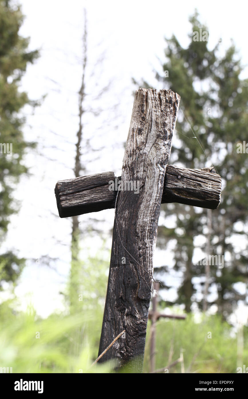 old wooden cross in the bushes and trees Stock Photo - Alamy