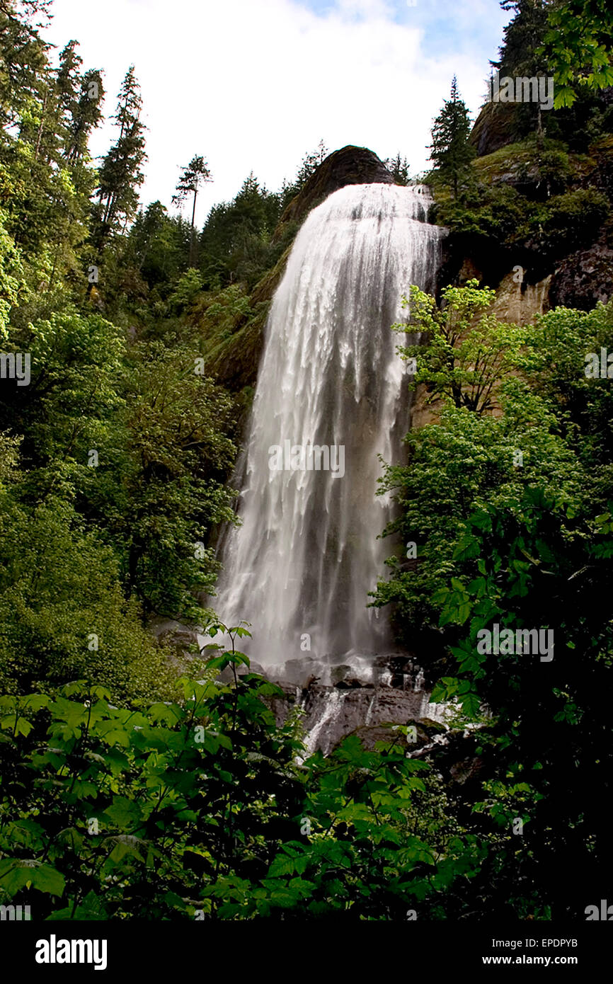 Golden and silver falls state park hi-res stock photography and images ...