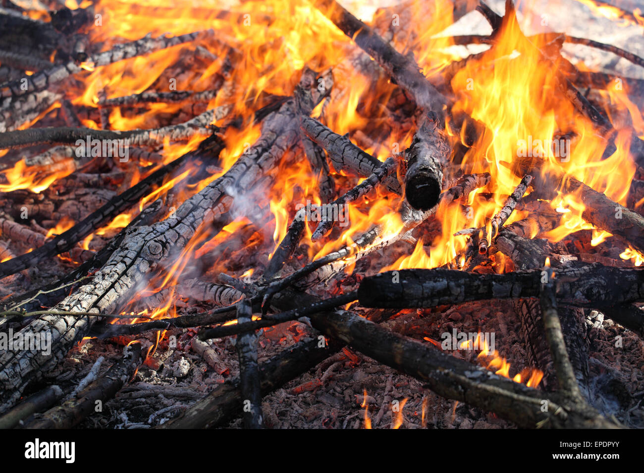 Flame forest hi-res stock photography and images - Alamy