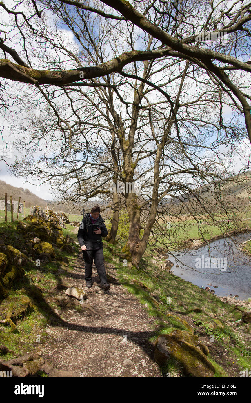 Dales Way, Yorkshire, England. A lady walking the Dales Way long ...