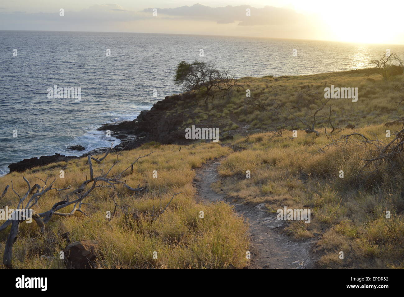 Sunset On Grassy Cliff Stock Photo - Alamy