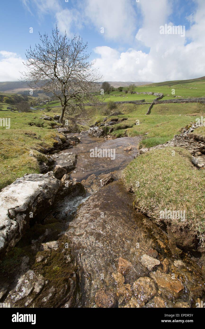 Yorkshire Dales, England. Picturesque view of one of the Cray ...