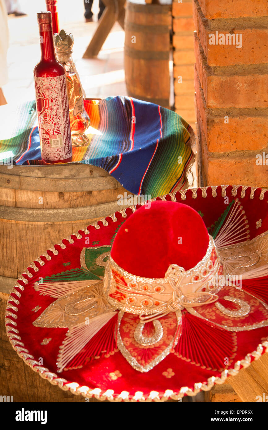 Canopy river puerto vallarta hi-res stock photography and images - Alamy