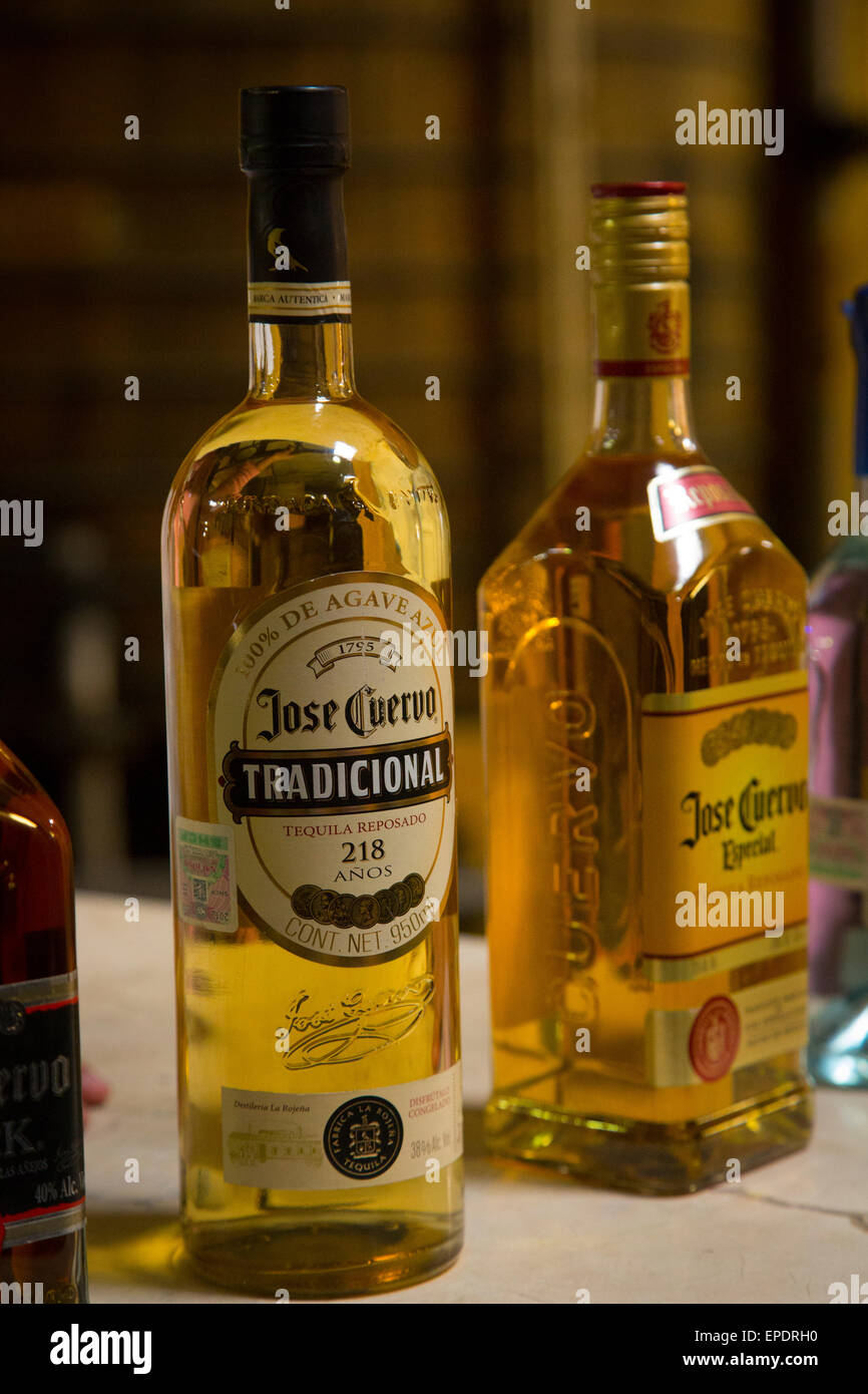 Tequila Cuervo La Rojeña, tour, Jalisco, Mexico Stock Photo - Alamy