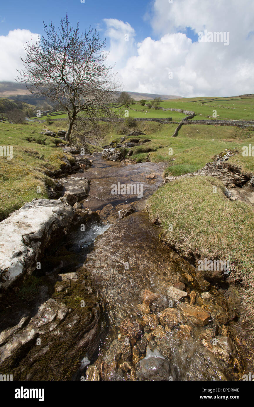 Yorkshire Dales, England. Picturesque view of one of the Cray ...
