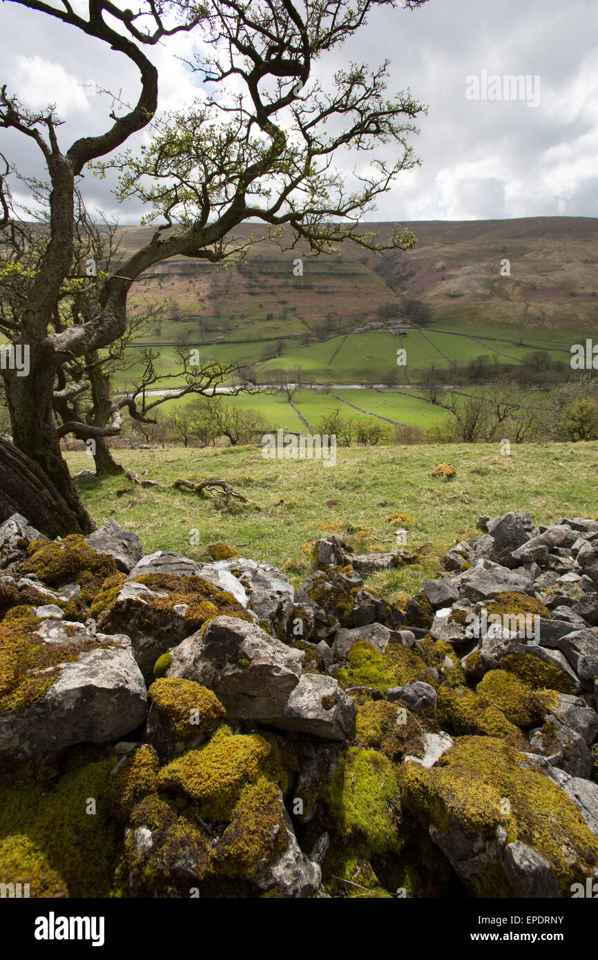 Yorkshire Dales, England. Picturesque view of the Yorkshire Dales with ...