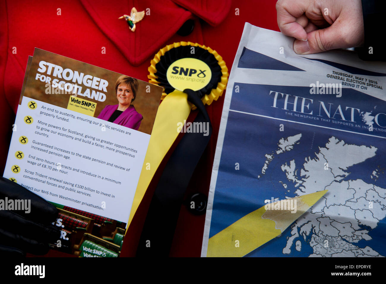 General election 2015. SNP Observer at polling place with SNP rosette ...