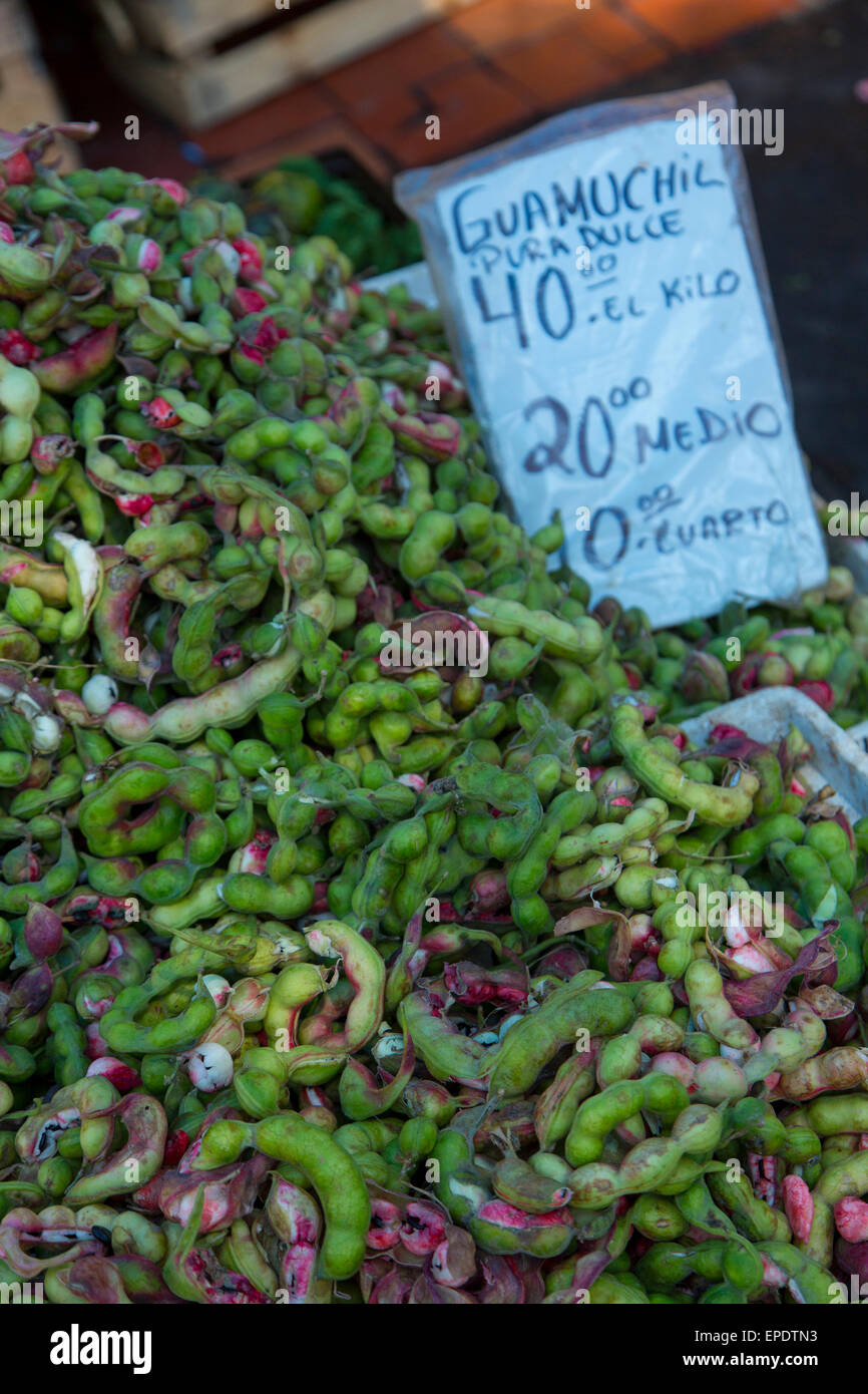 Guamuchil Stock Photos & Guamuchil Stock Images - Alamy