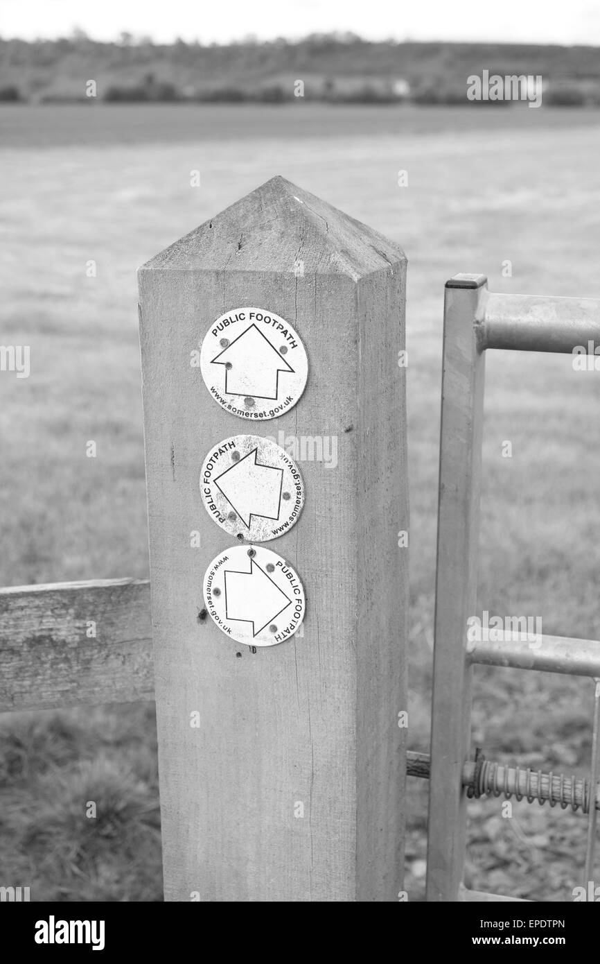 Route selection Black and White Stock Photos & Images - Alamy