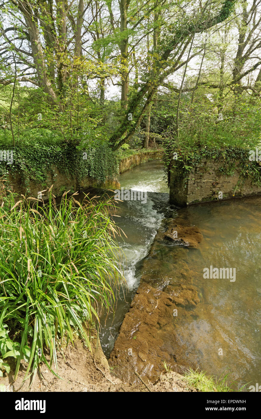 River Brit running through Slape Manor Estate in Dorset Stock Photo - Alamy