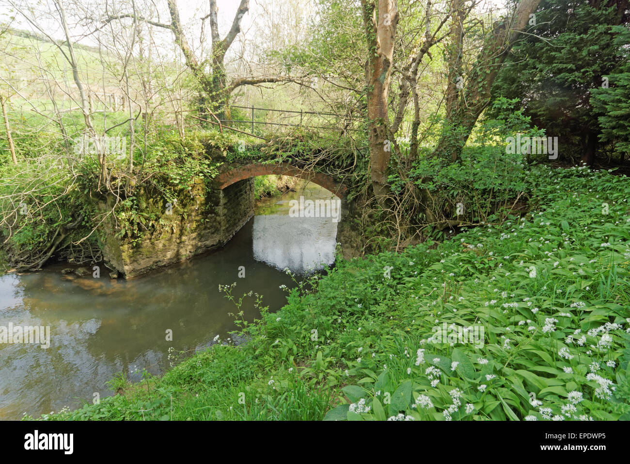 River Brit running through Slape Manor Estate in Dorset Stock Photo - Alamy