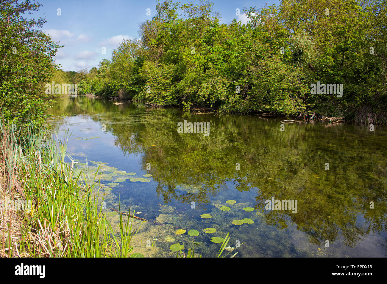Wanstead hi-res stock photography and images - Alamy