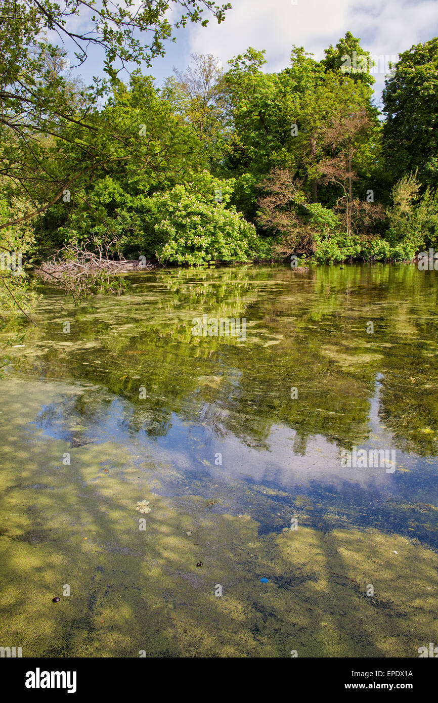 Wanstead hi-res stock photography and images - Alamy