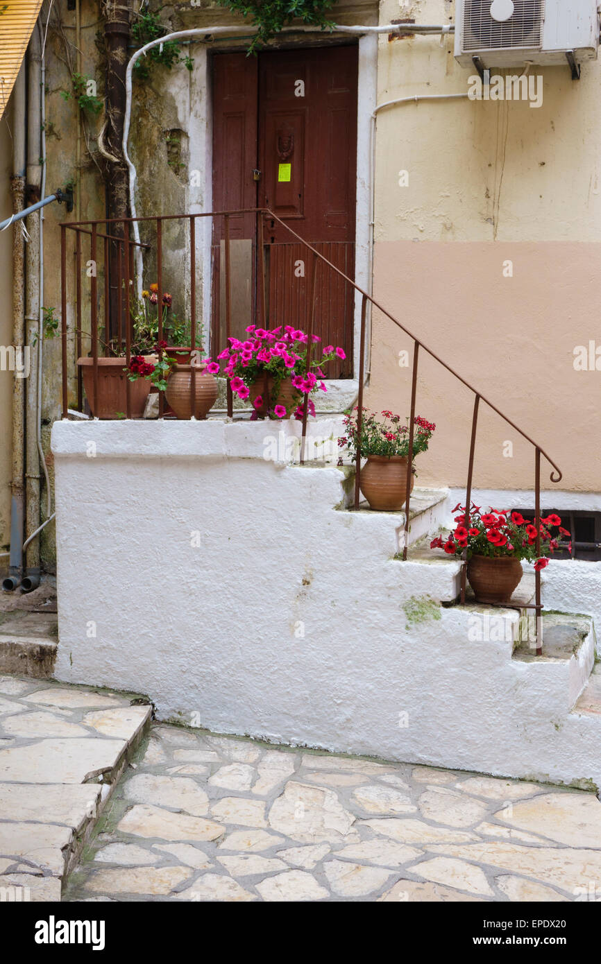plant pots and steps Stock Photo - Alamy