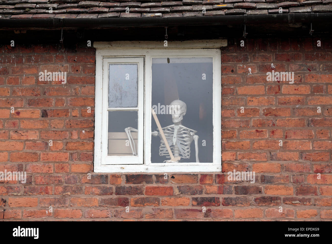 Skeleton 'looking out' of a first floor window of a house in Worcester ...