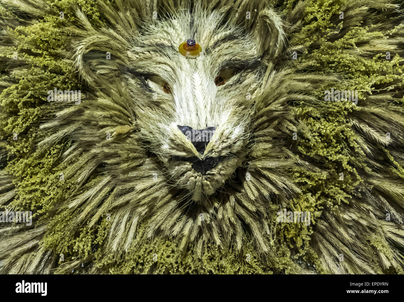 May 17, 2015 - Lion head made of straw. -- The International Festival ...