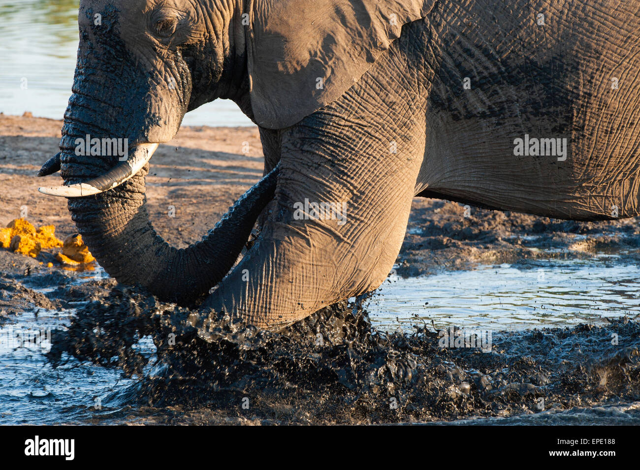 Throwing mud hi-res stock photography and images - Alamy