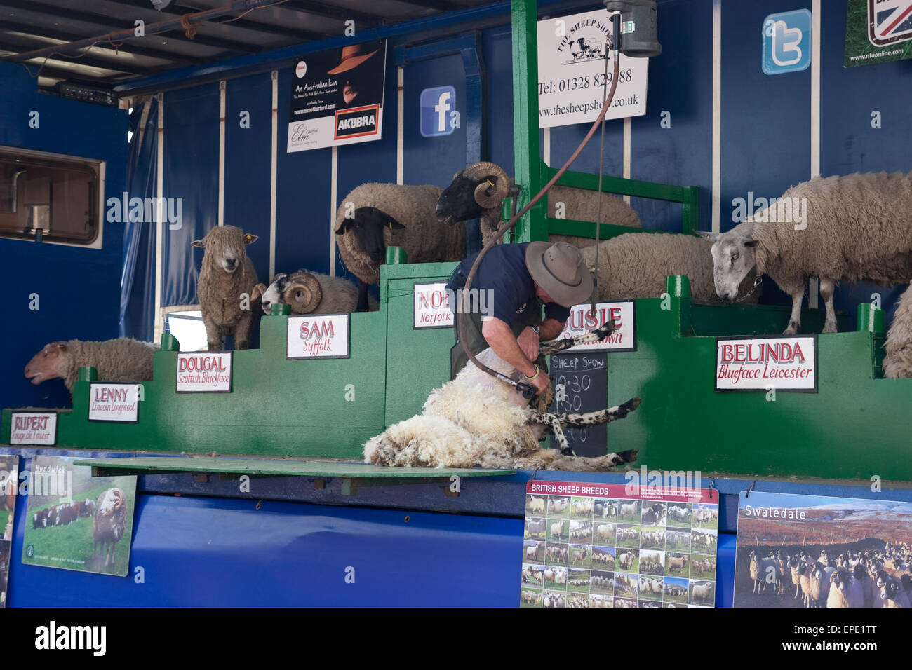 The Sheep Show presented by Stuart Barnes featuring different breeds of ...