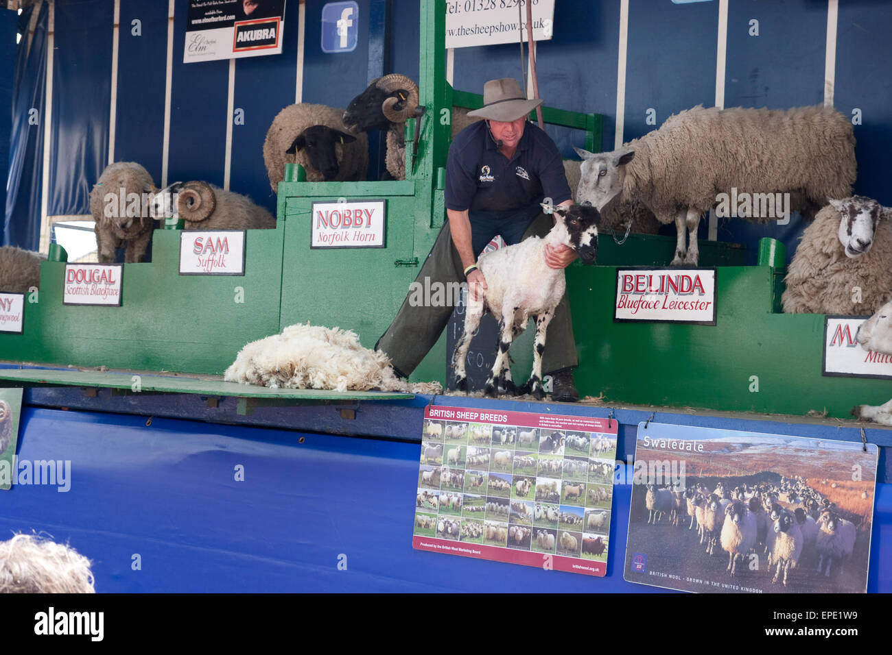 The Sheep Show presented by Stuart Barnes featuring different breeds of ...
