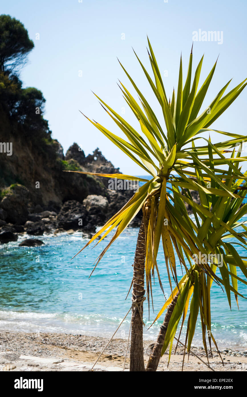 Corfu ermones beach hi-res stock photography and images - Alamy