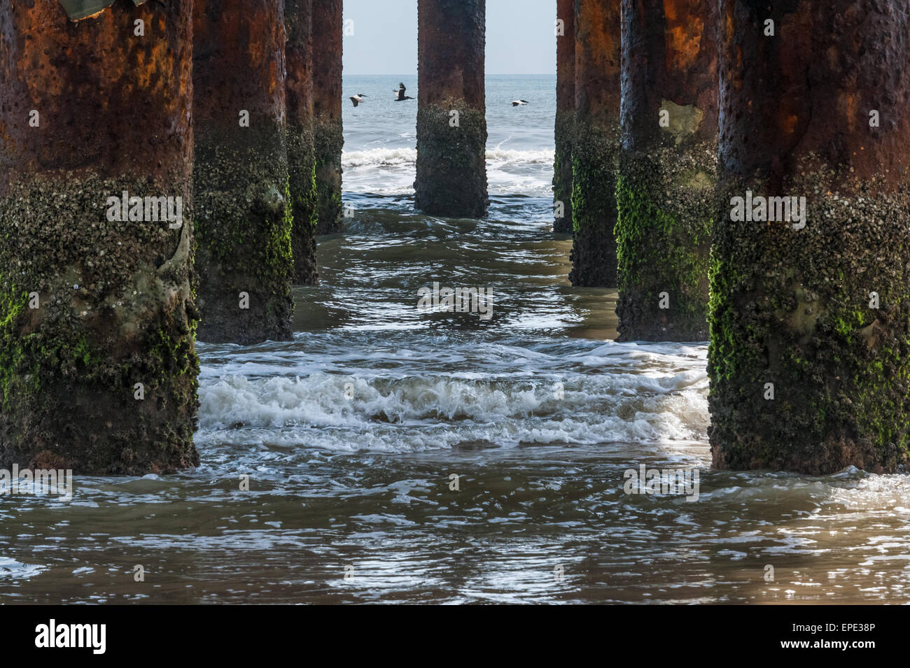 Pilings in the water hi-res stock photography and images - Alamy