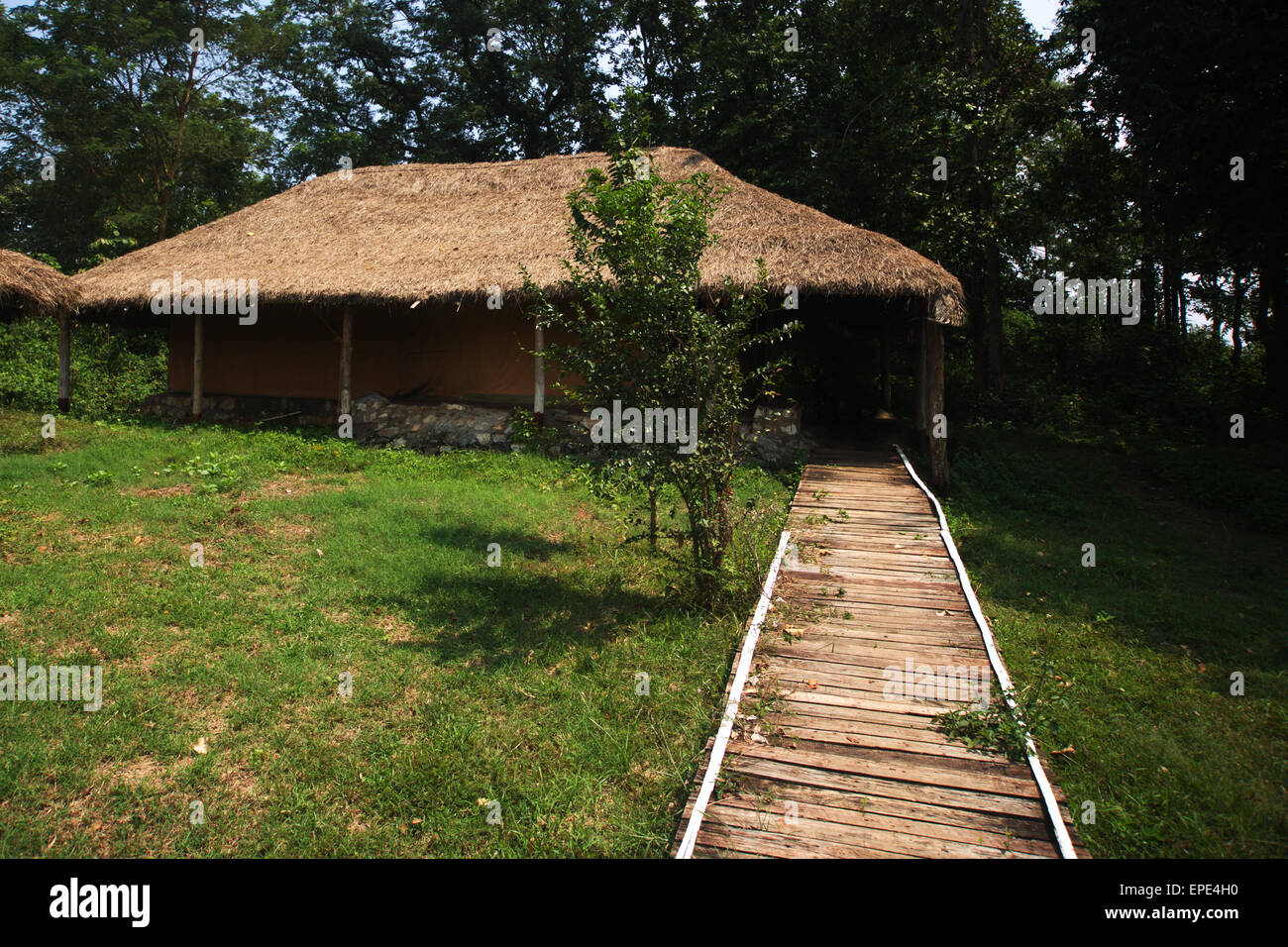 the bison resort, kabini, karnadaka Stock Photo - Alamy