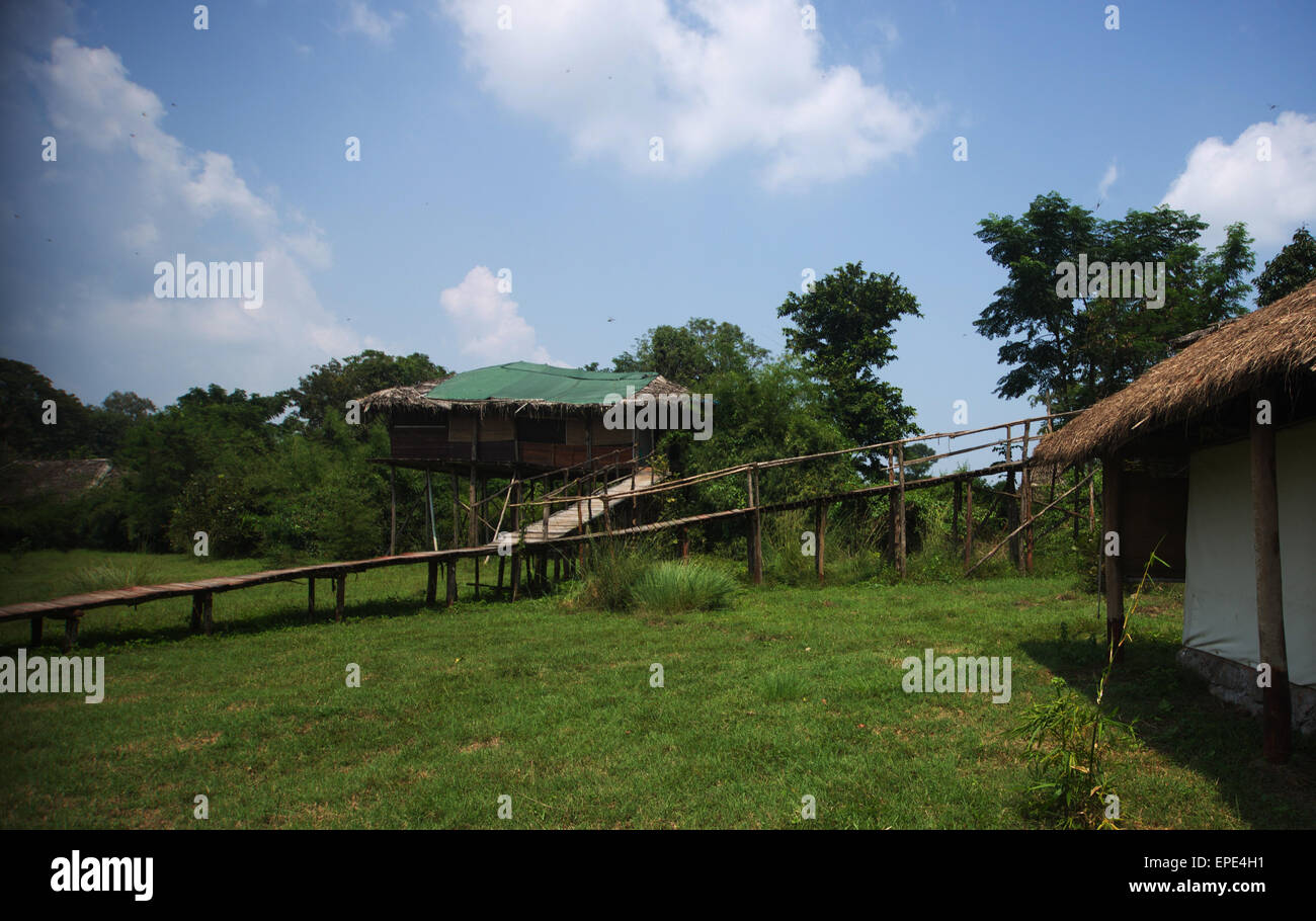 the bison resort, kabini, karnadaka Stock Photo - Alamy