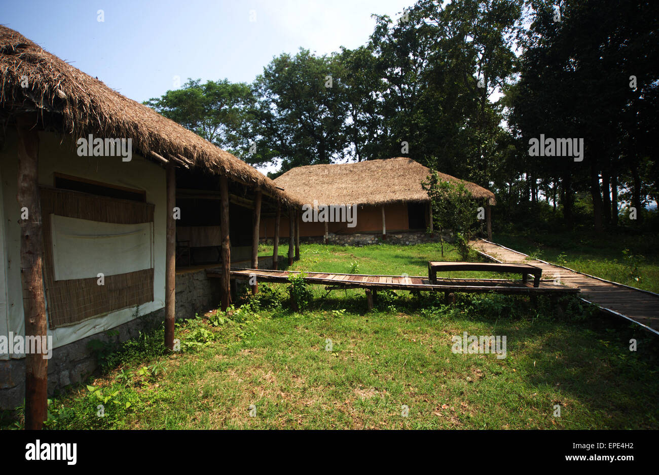 the bison resort, kabini, karnadaka Stock Photo - Alamy
